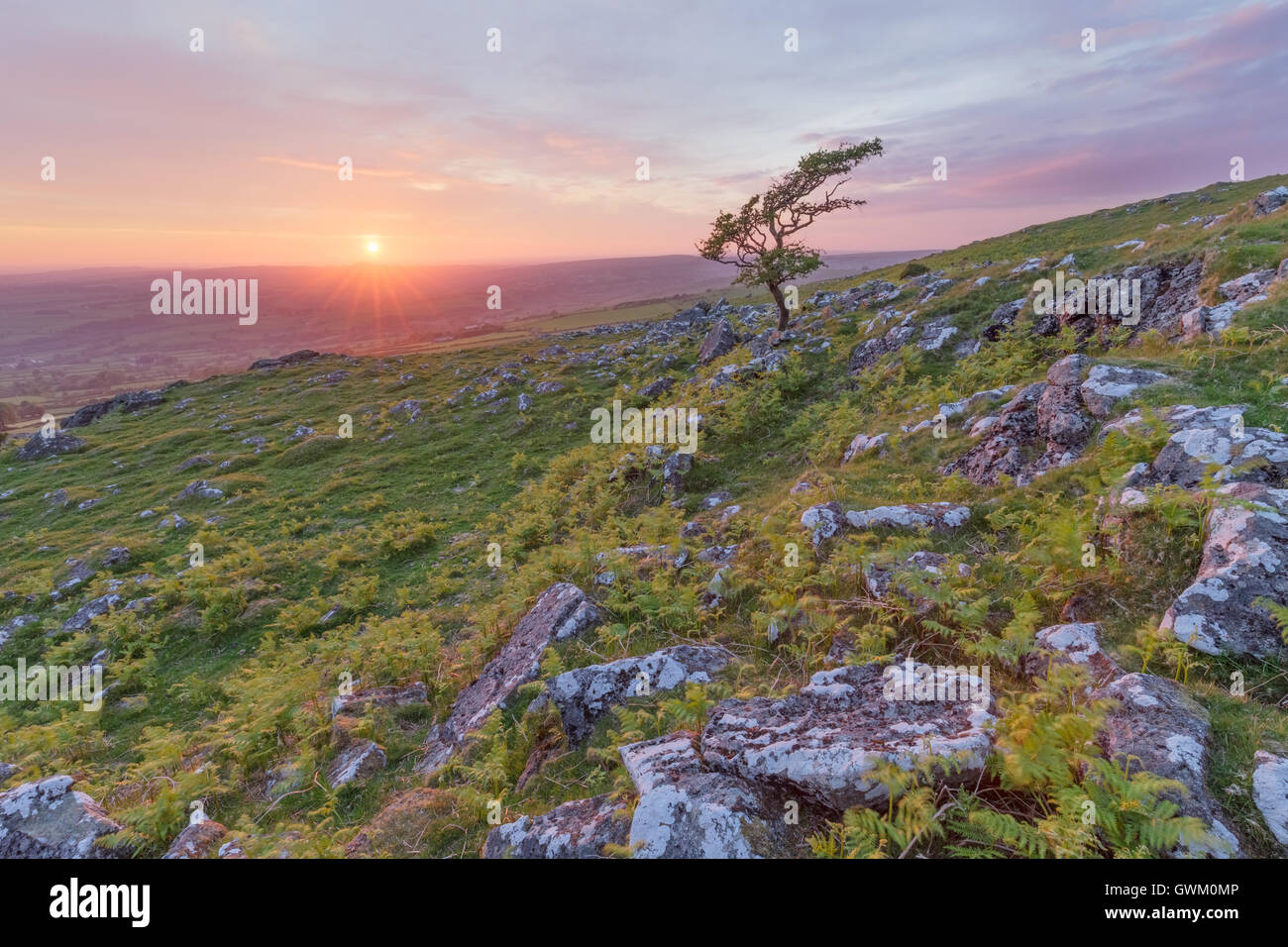 Cox_tor hi-res stock photography and images - Alamy
