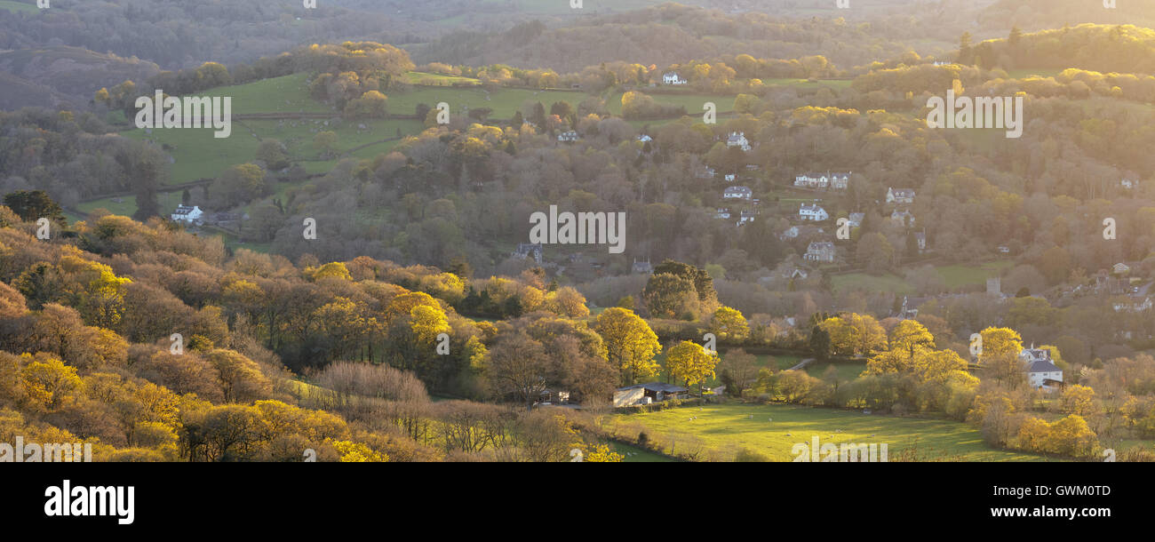 Lustleigh cleave, spring, panoramic Stock Photo - Alamy