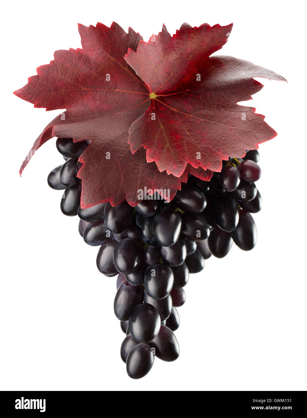 Grapes purple hi-res stock photography and images - Alamy