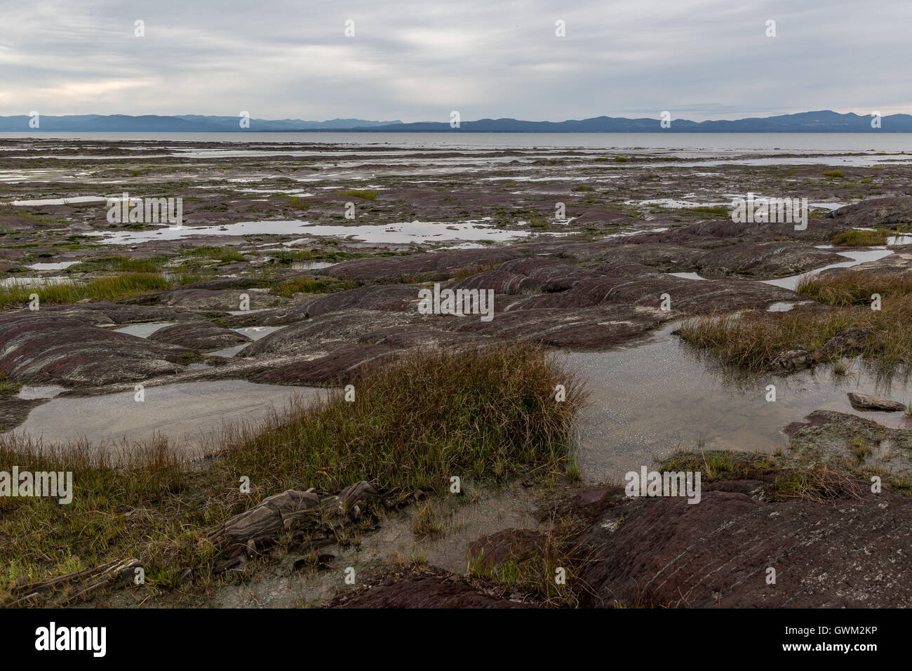 Saint Lawrence River and its shores Stock Photo - Alamy
