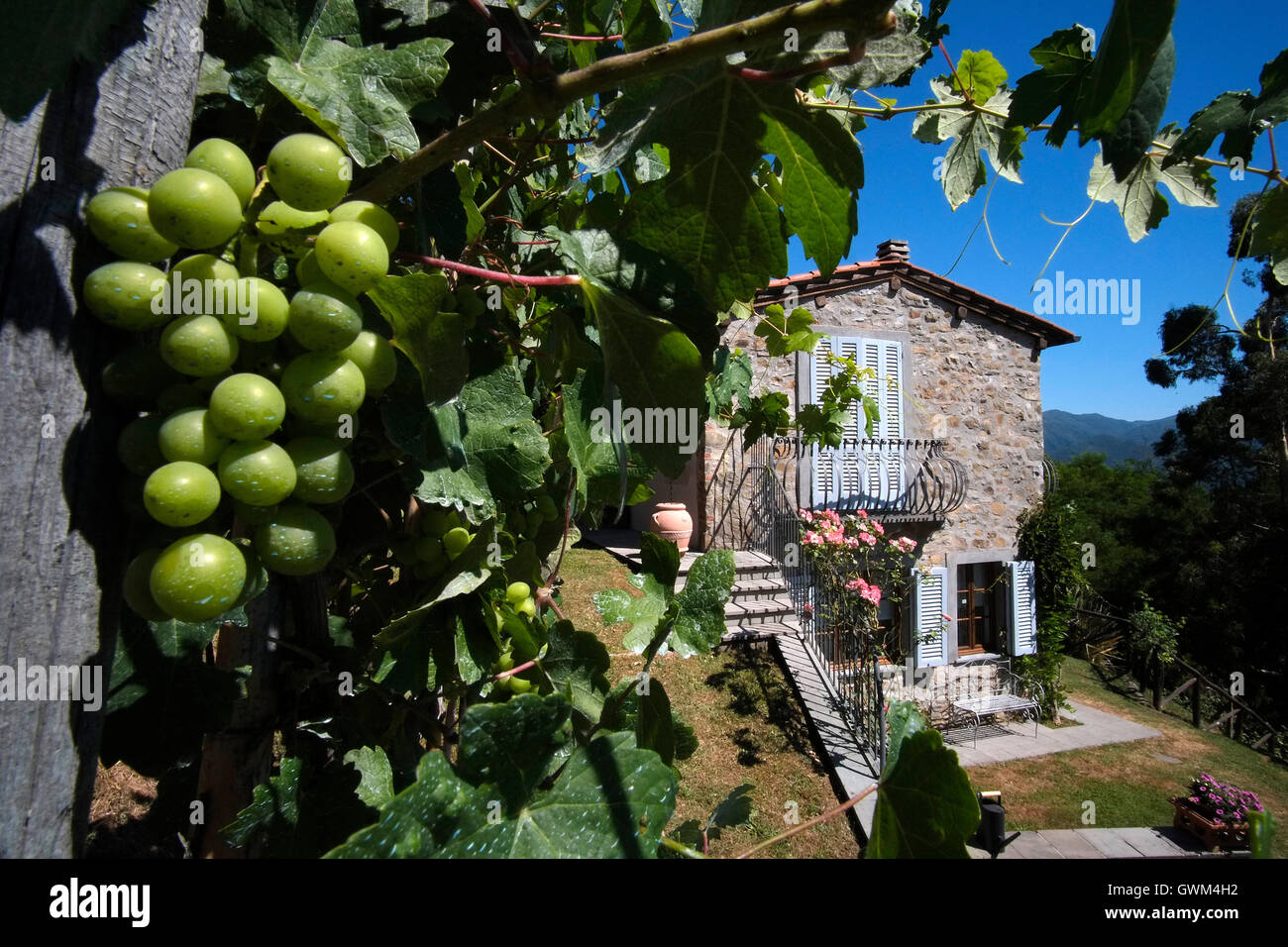 Lucignana hi-res stock photography and images - Alamy