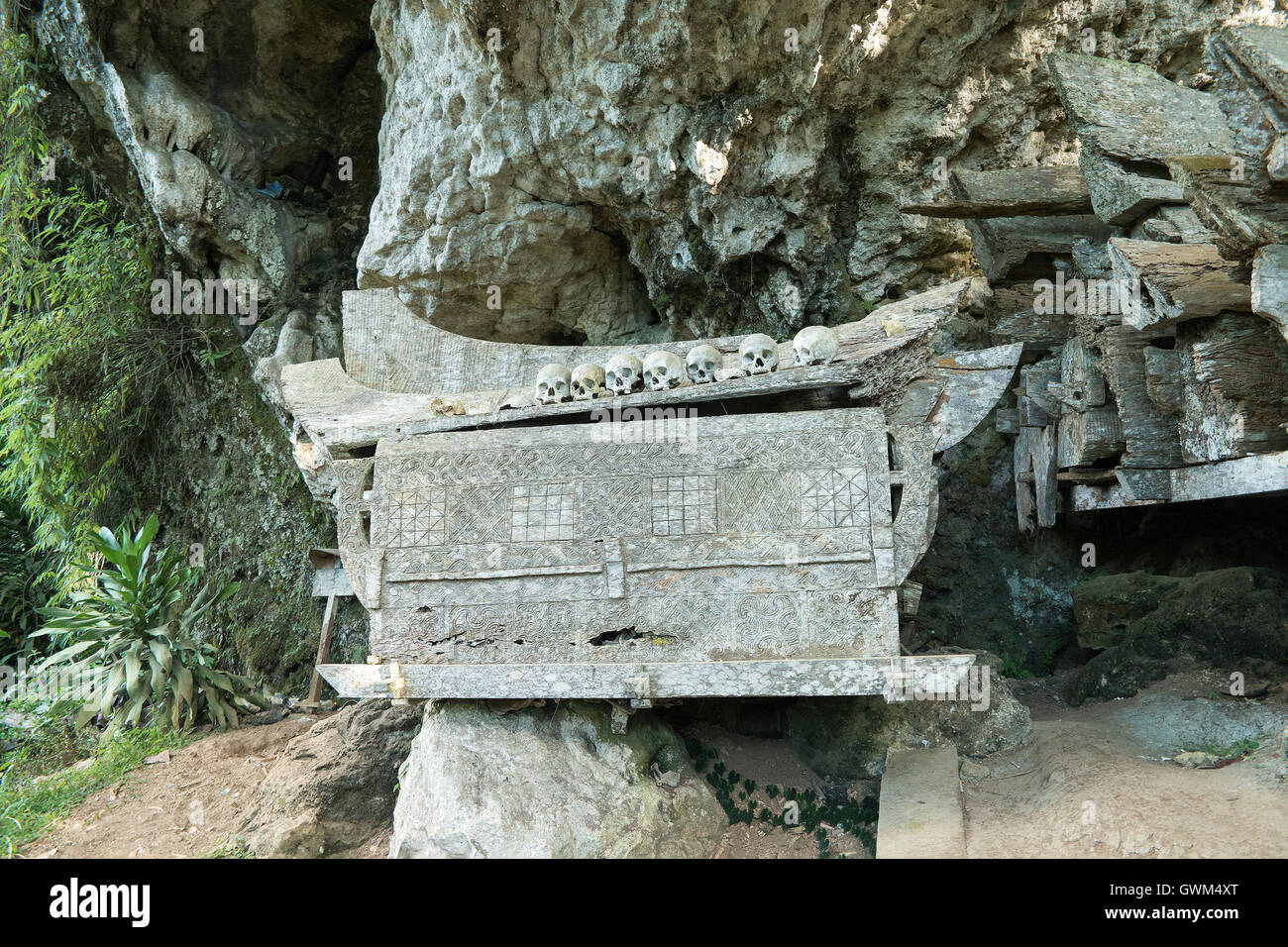 Hundred thousand years hanging coffin and stone graveyard of Toraja ...