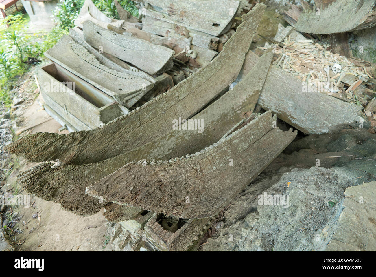 Hundred thousand years hanging coffin and stone graveyard of Toraja ...