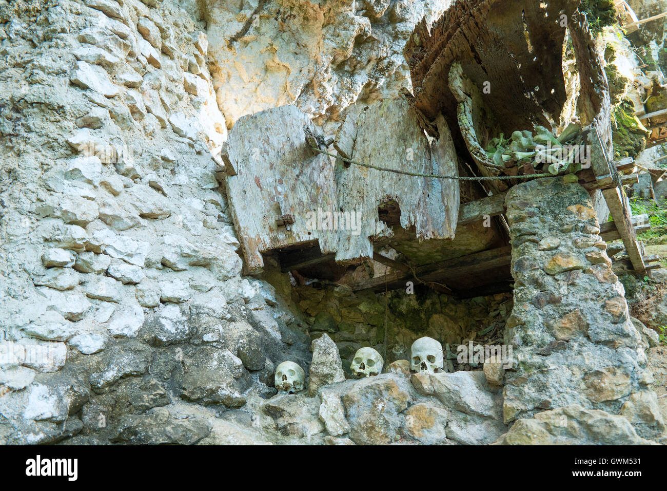 Hundred thousand years hanging coffin and stone graveyard of Toraja ...