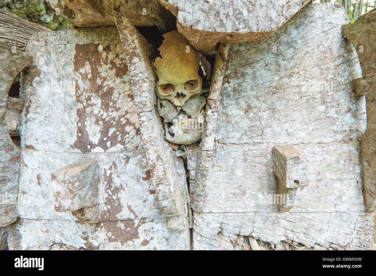 Hanging coffin hi-res stock photography and images - Alamy