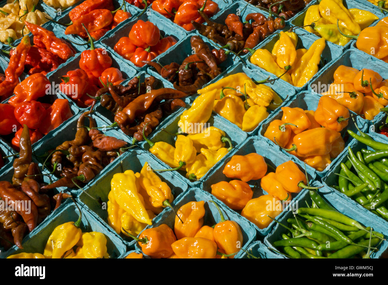 A colorful display of hot peppers for sale at the Union Square Green ...