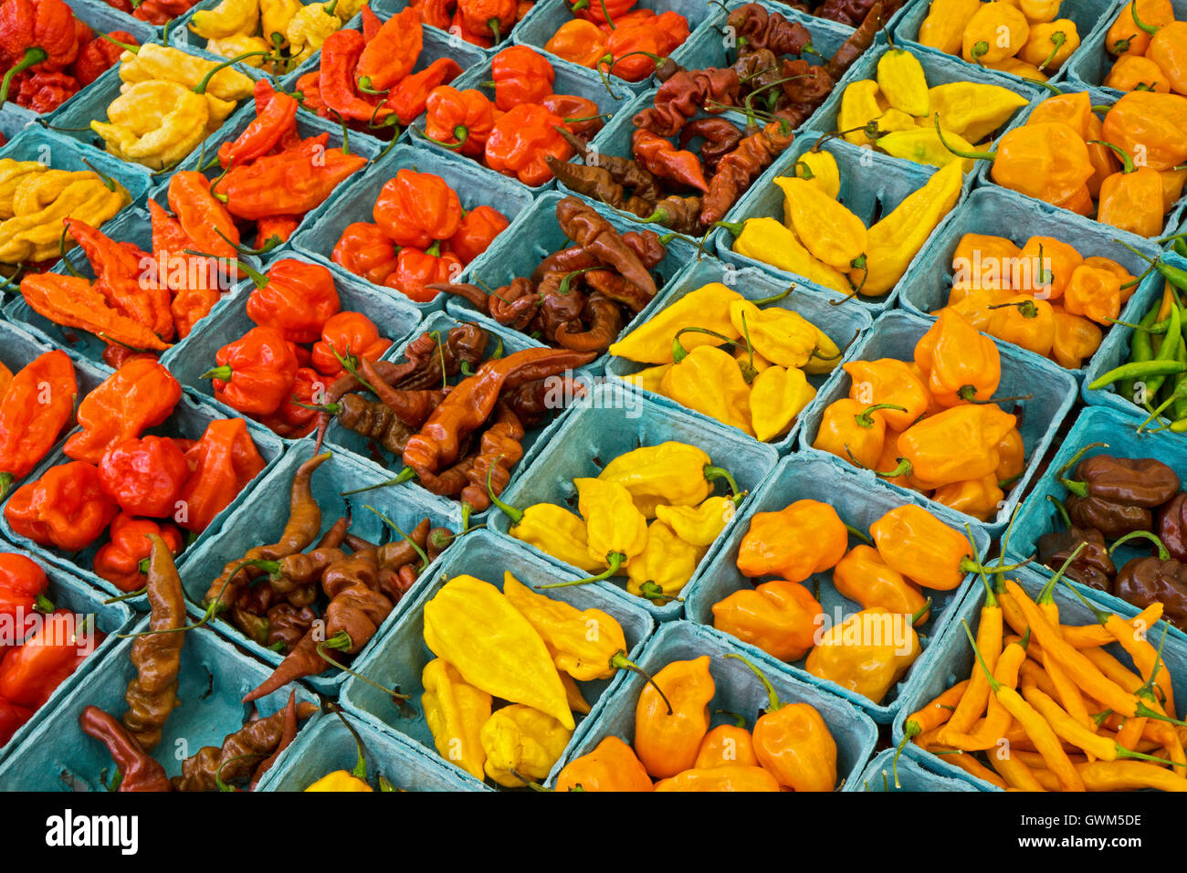 A colorful display of hot peppers for sale at the Union Square Green ...
