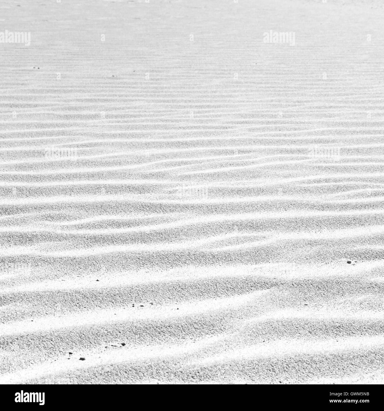 abstract texture line wave in oman the old desert and the empty quarter ...