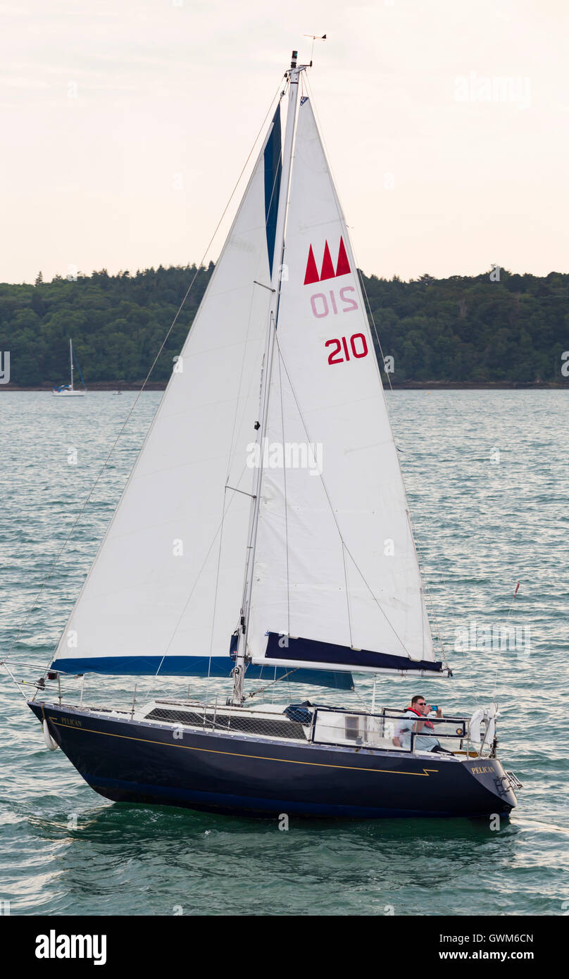 Pelican 210 hi-res stock photography and images - Alamy