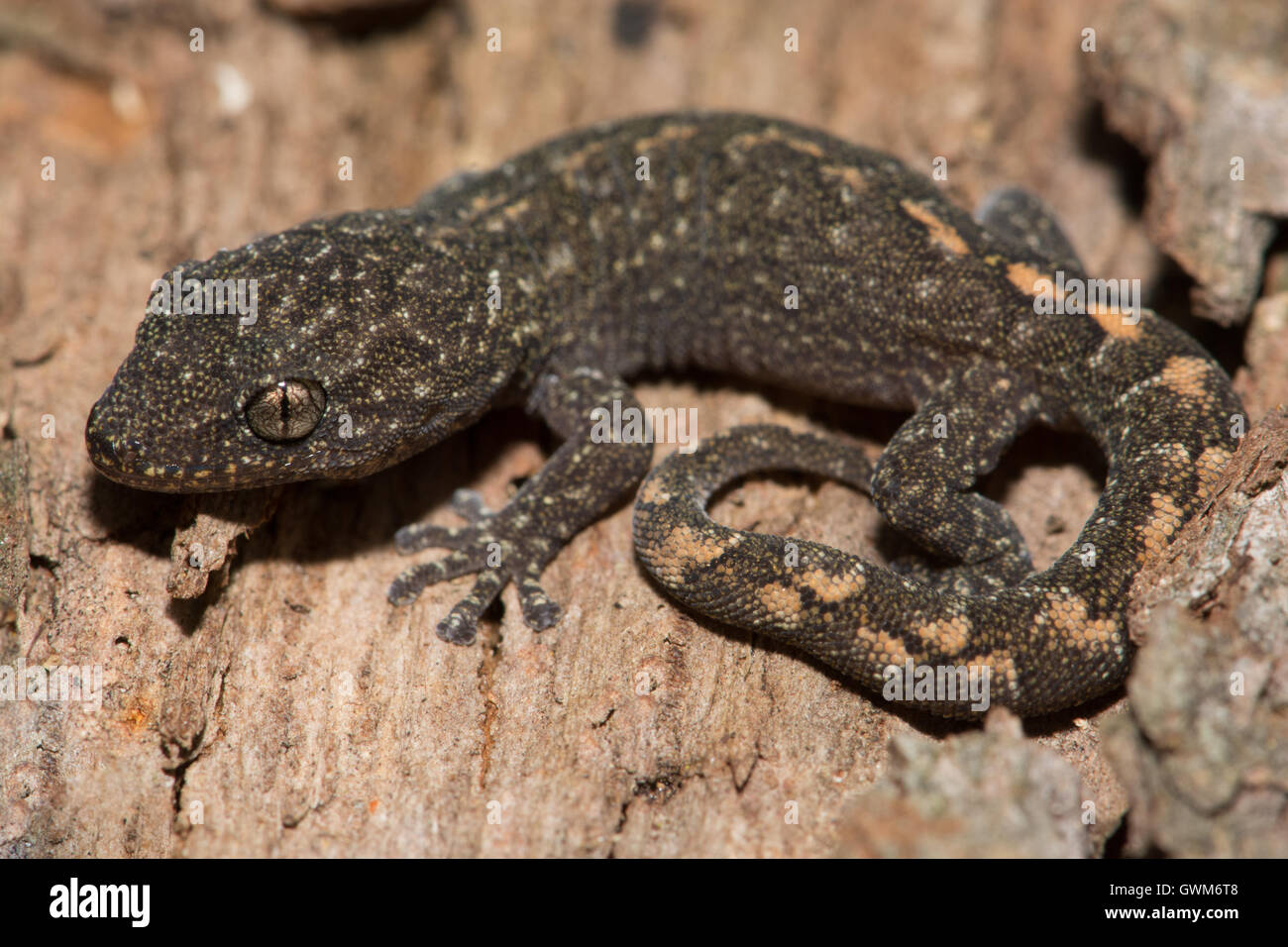 James Peake High Resolution Stock Photography and Images - Alamy
