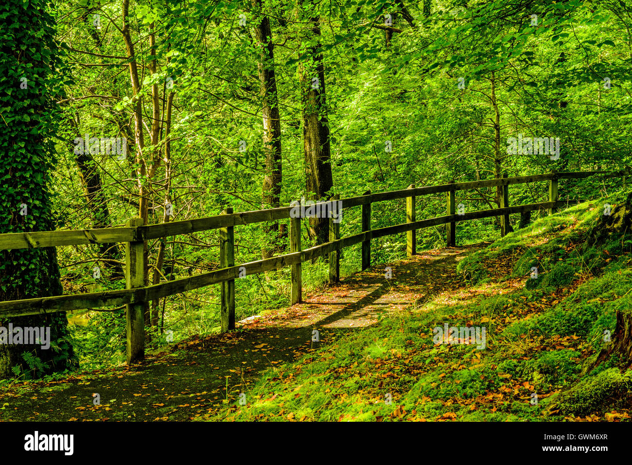 Lake District Footpath on the River Brathay just above the village of ...