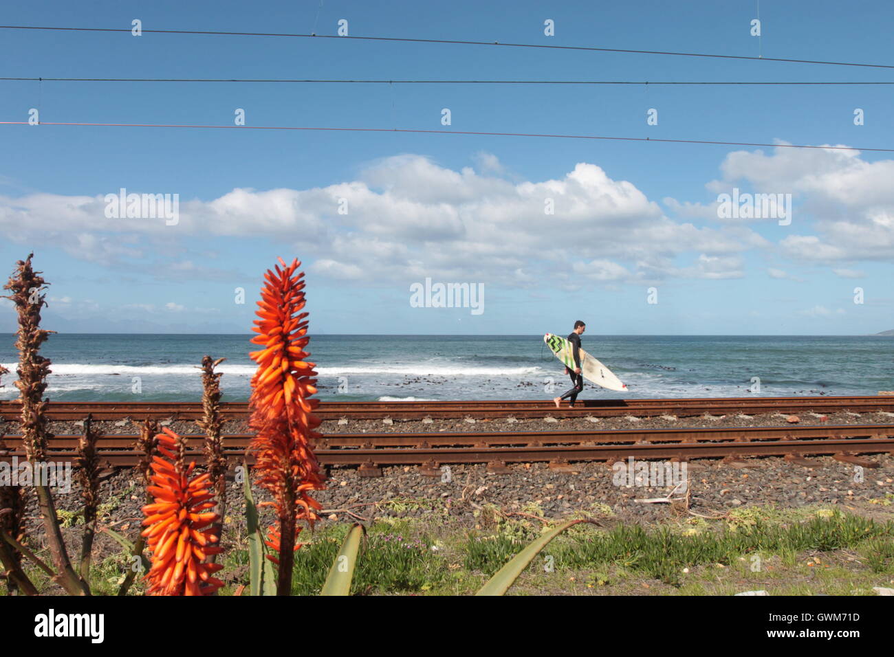 Surfer along the train tracks Stock Photo - Alamy