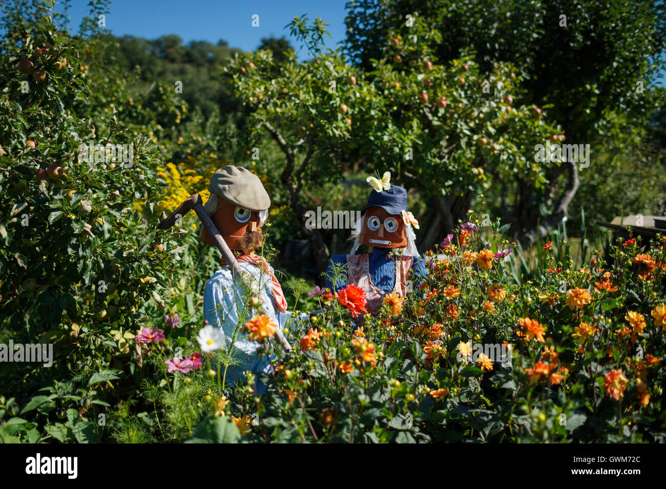 Colourful scarecrows hi-res stock photography and images - Alamy