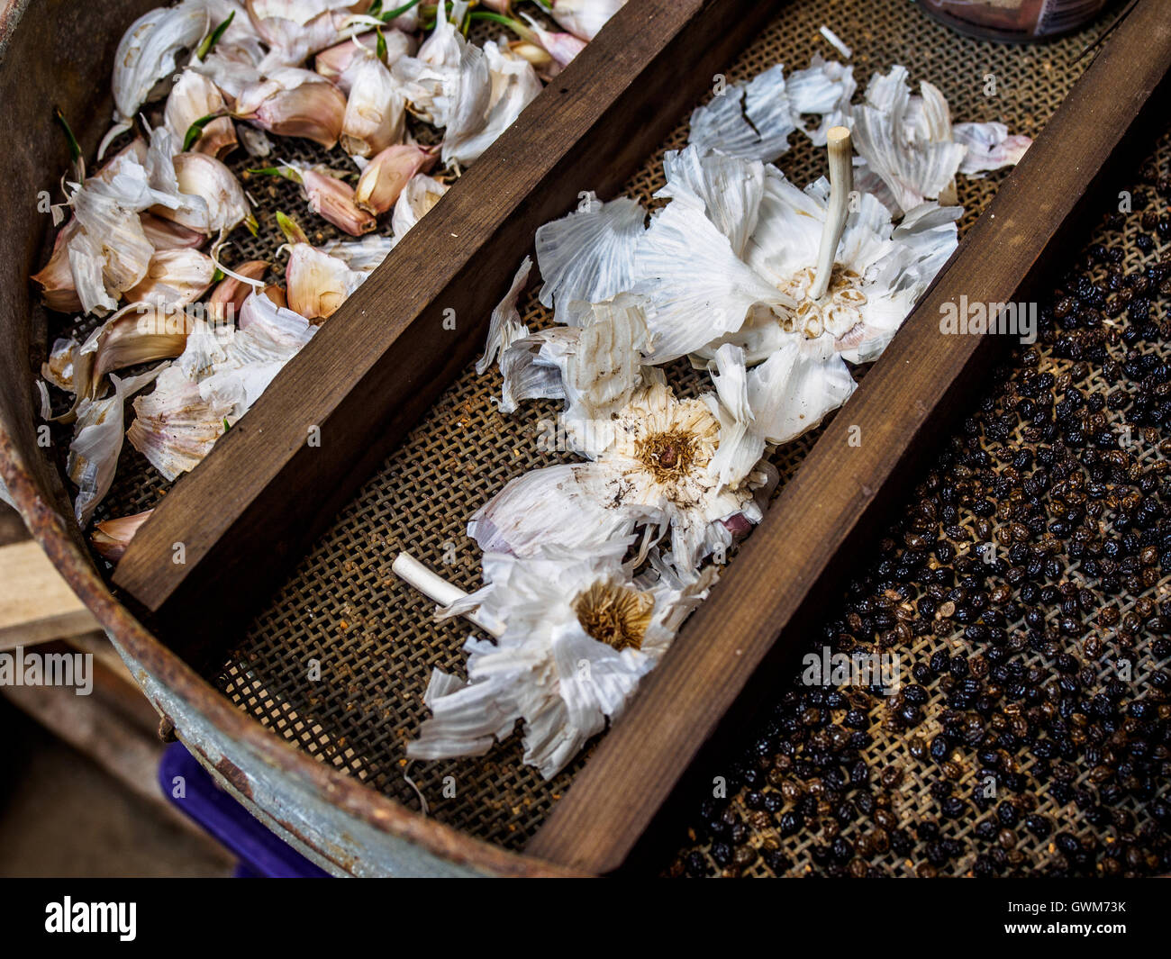 Old garlic and pepper corns are dried in an old sieve on a farm in ...