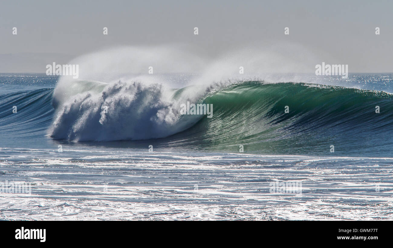 East Coast Waves