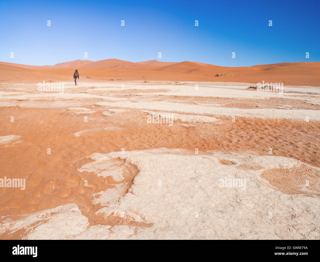 Single man walking on the Namib Desert, Namibia Stock Photo - Alamy