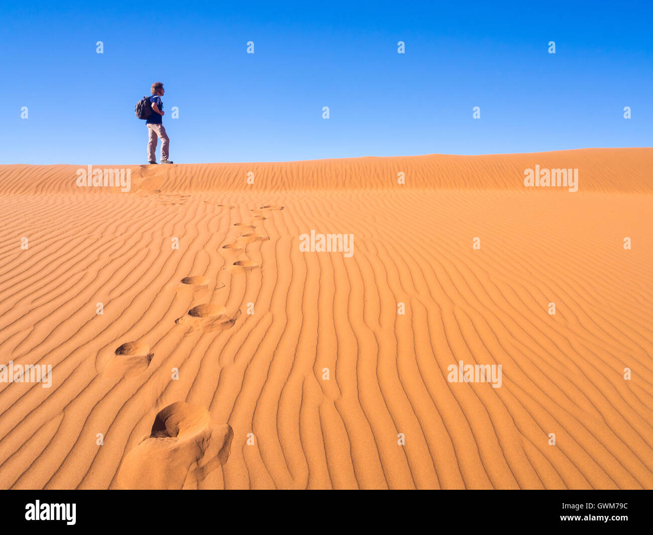 Single man walking on the Namib Desert, Namibia Stock Photo - Alamy