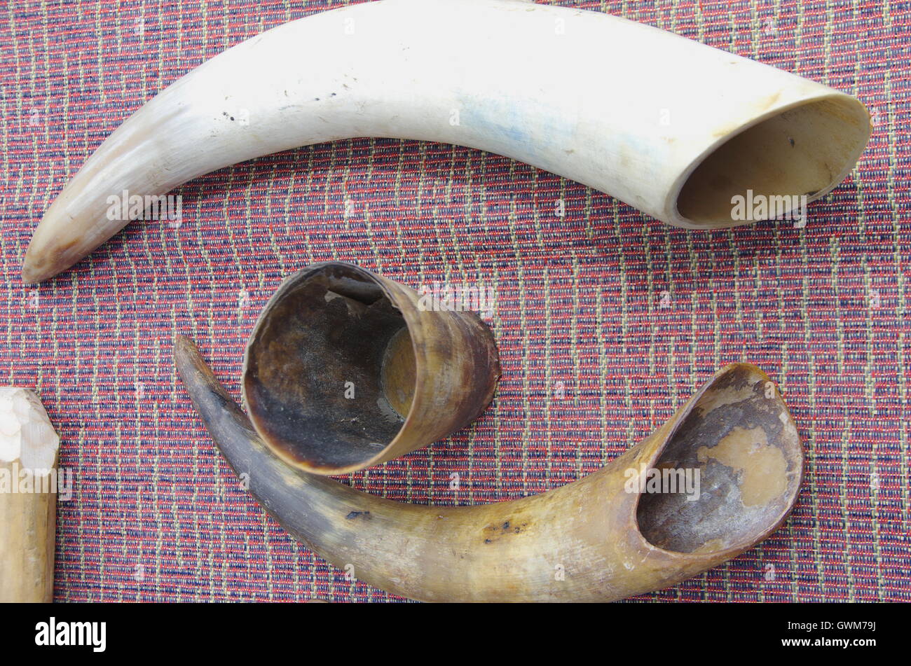 Neolithic cow hi-res stock photography and images - Alamy
