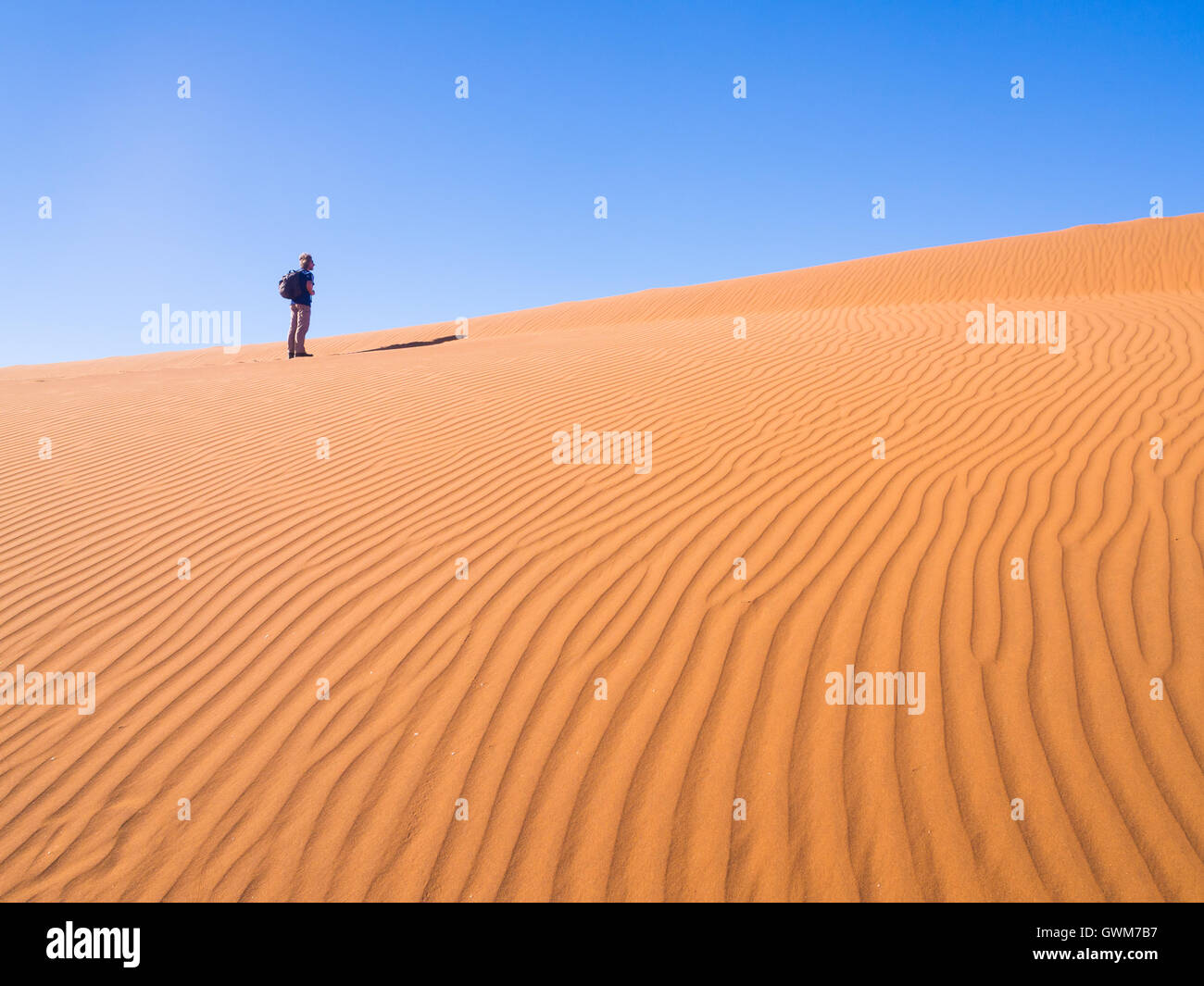 Single man walking on the Namib Desert, Namibia Stock Photo - Alamy