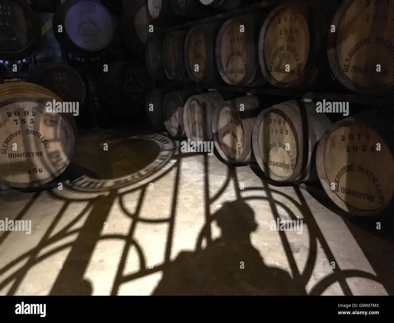 Single malt cask strength whisky, in barrels in a locked warehouse, at ...