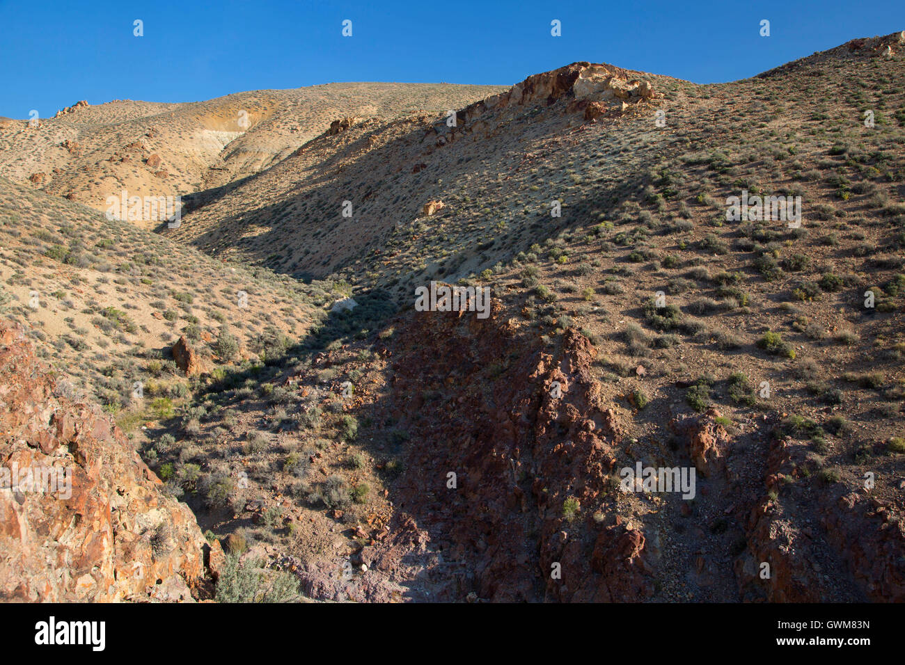 Morman Dan Canyon, Calico Mountains Wilderness, Nevada Stock Photo - Alamy