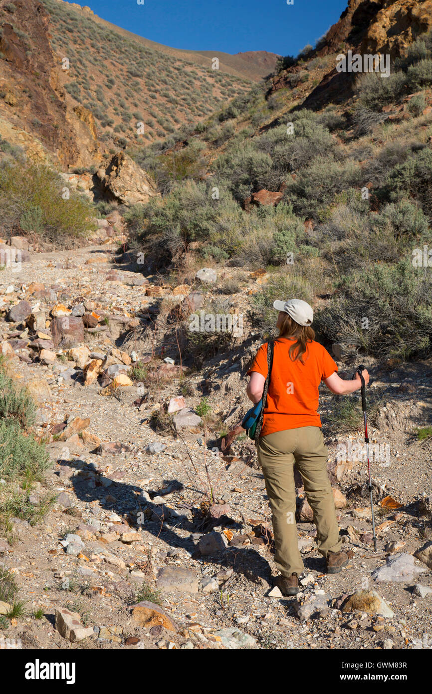 Morman Dan Canyon, Calico Mountains Wilderness, Nevada Stock Photo - Alamy