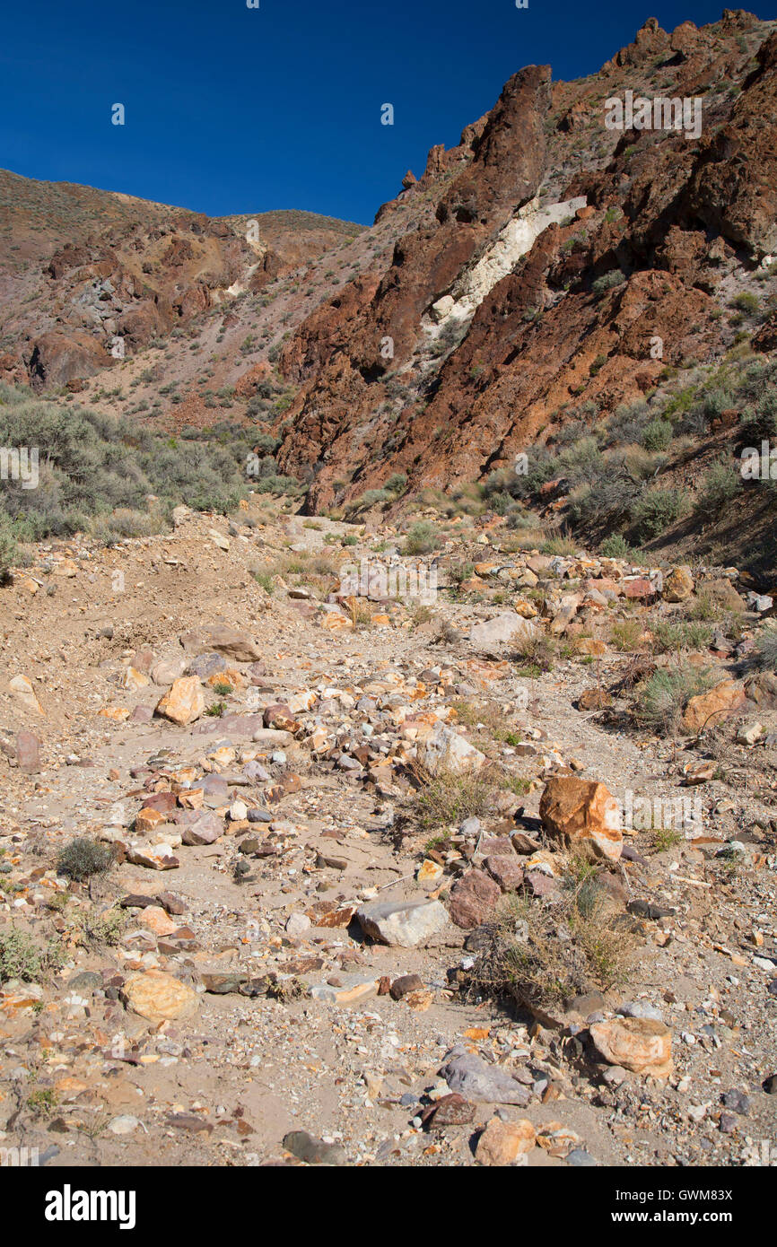 Morman Dan Canyon, Calico Mountains Wilderness, Nevada Stock Photo - Alamy