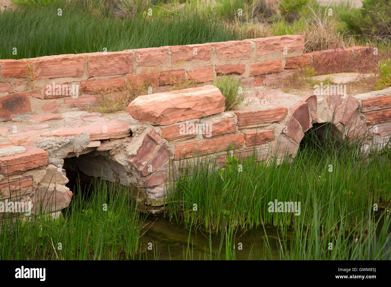 Ccc camp ccc camp hi-res stock photography and images - Alamy