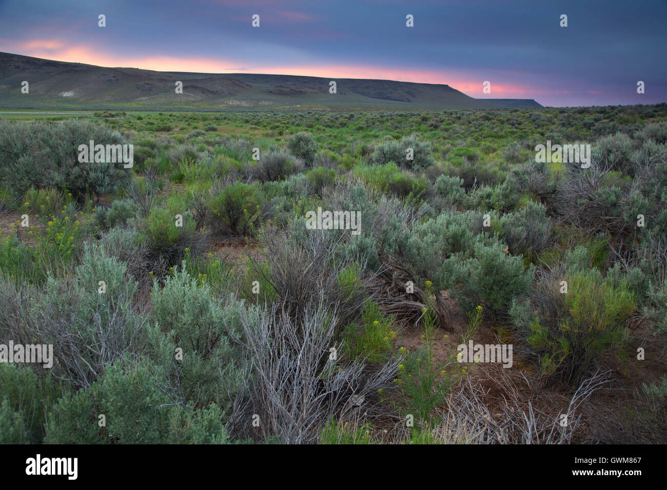 Sunrise near Big Springs Reservoir, Sheldon National Wildlife Refuge ...