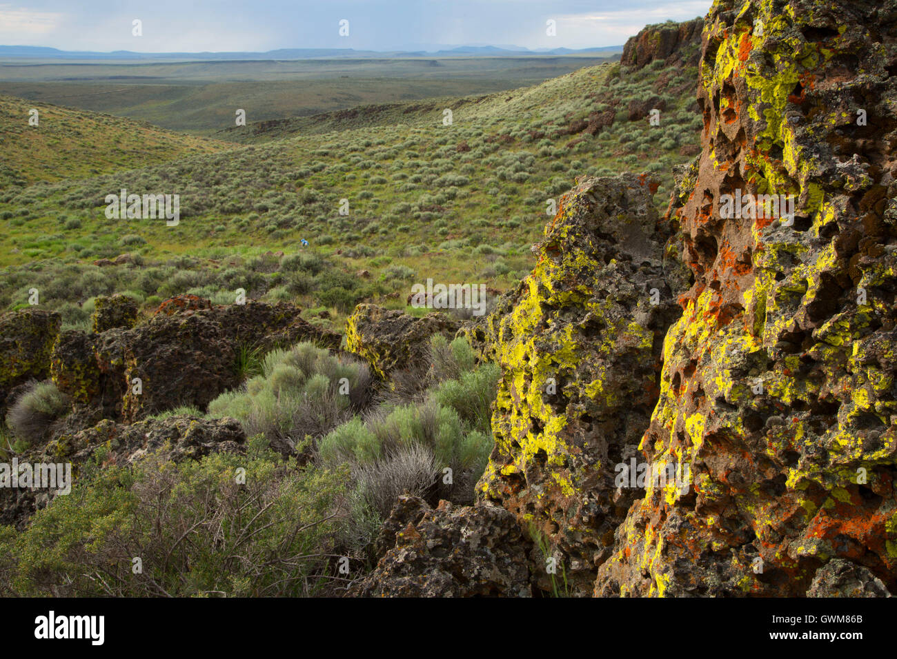 Desert rim outcrop with lichen, Sheldon National Wildlife Refuge ...