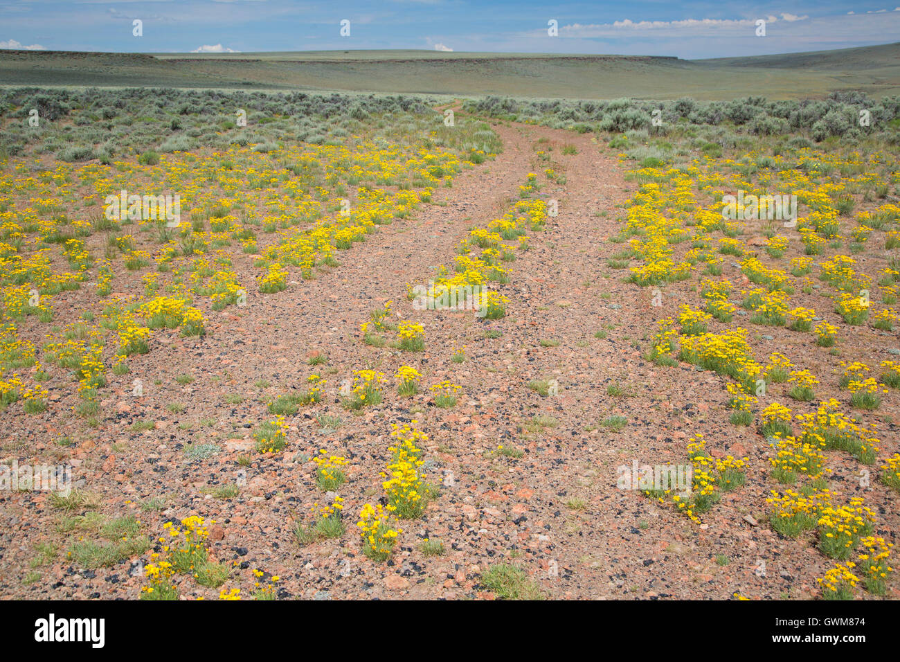 Desert jeep road, Sheldon National Wildlife Refuge, Nevada Stock Photo ...