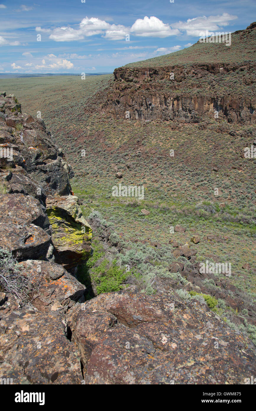 Sheldon refuge hi-res stock photography and images - Alamy