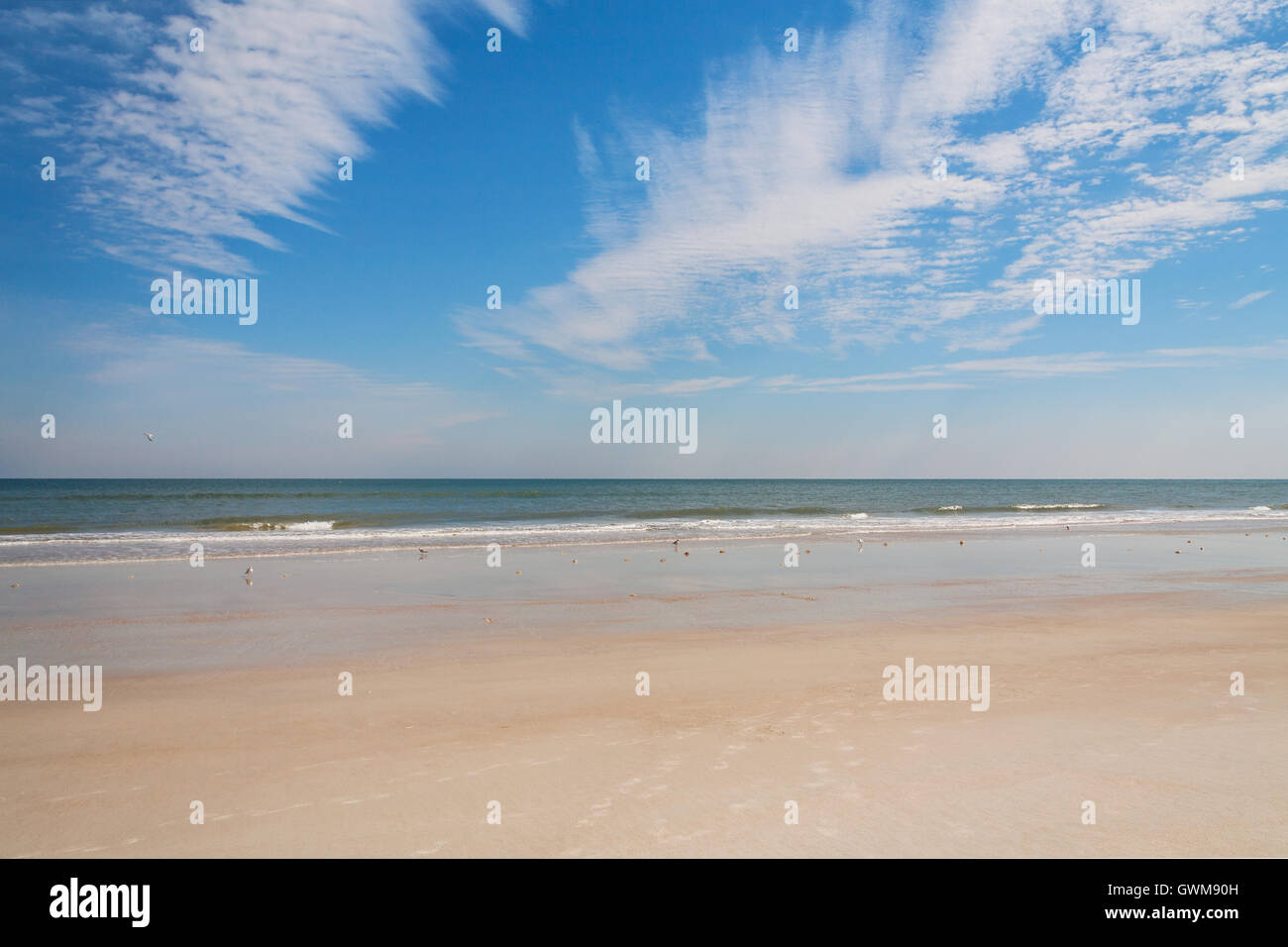 The beach at Ponte Vedra Beach, Florida, USA Stock Photo - Alamy