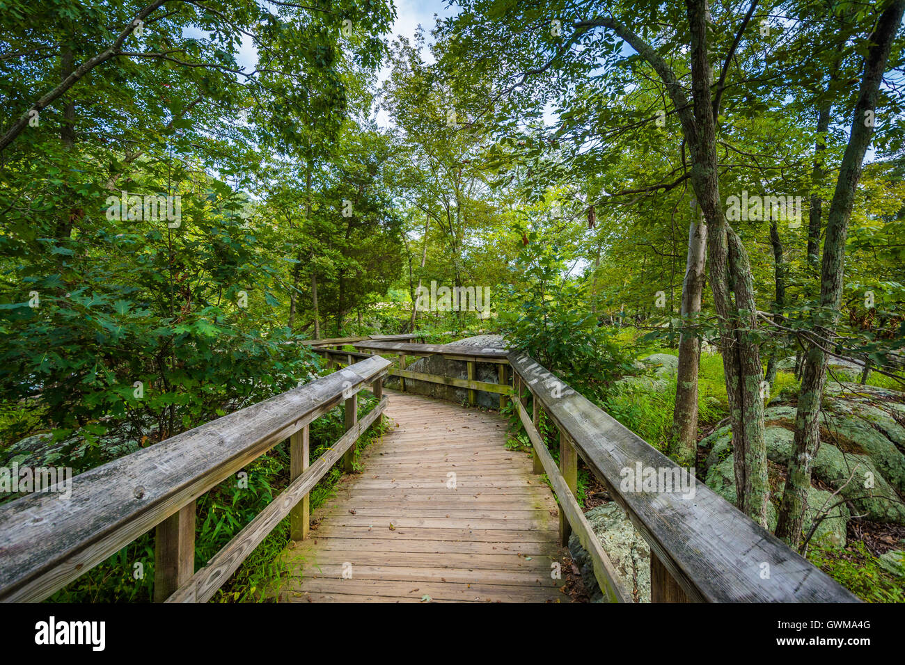 Boardwalk trail on Olmsted Island at Great Falls, Chesapeake & Ohio ...