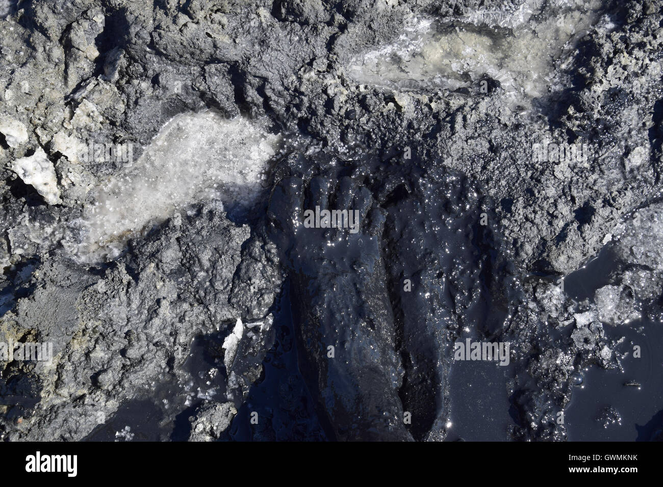 Human foot in the mud and salt lake brine. Therapeutic mud and salt ...
