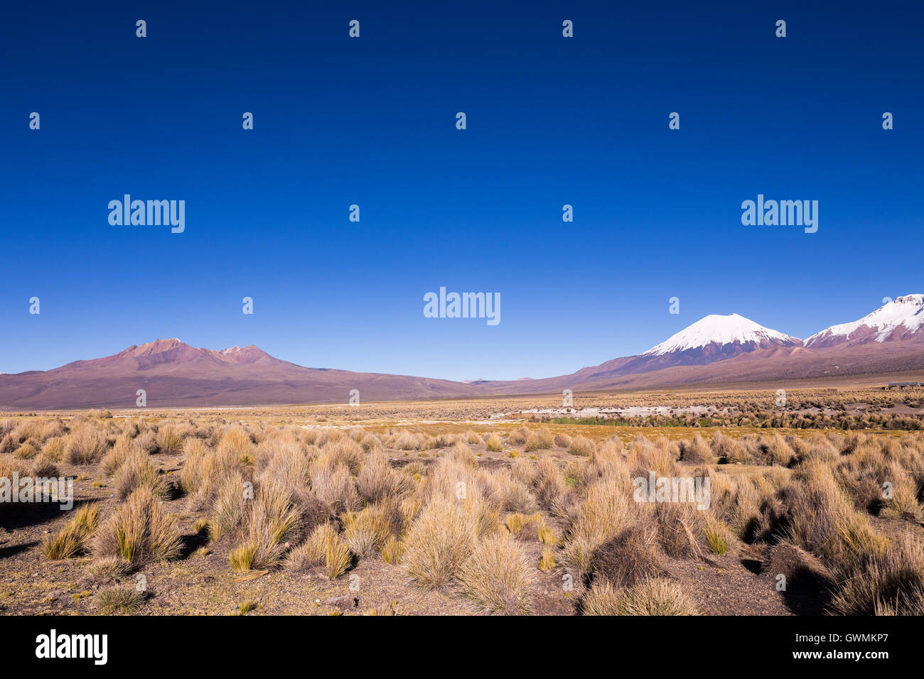 High Andean tundra landscape in the mountains of the Andes. The weather ...