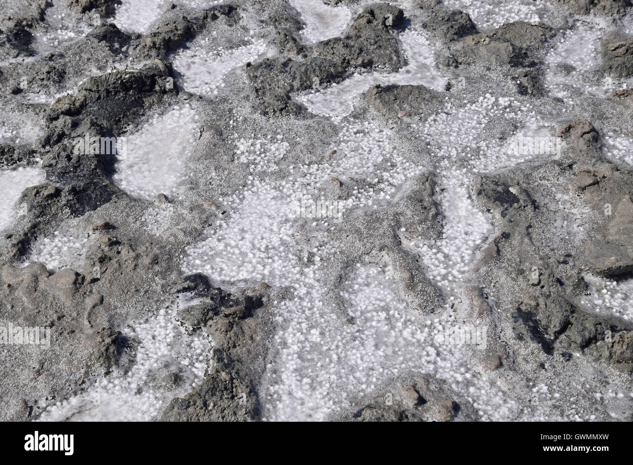 The crust of salt on the bottom of the curative mud dry lake. The ...