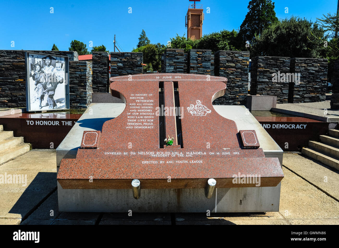 Peterson museum hi-res stock photography and images - Alamy