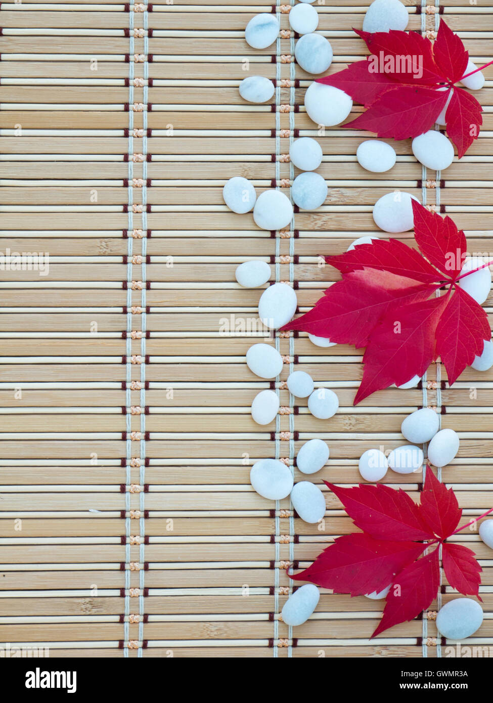 White bamboo hi-res stock photography and images - Alamy