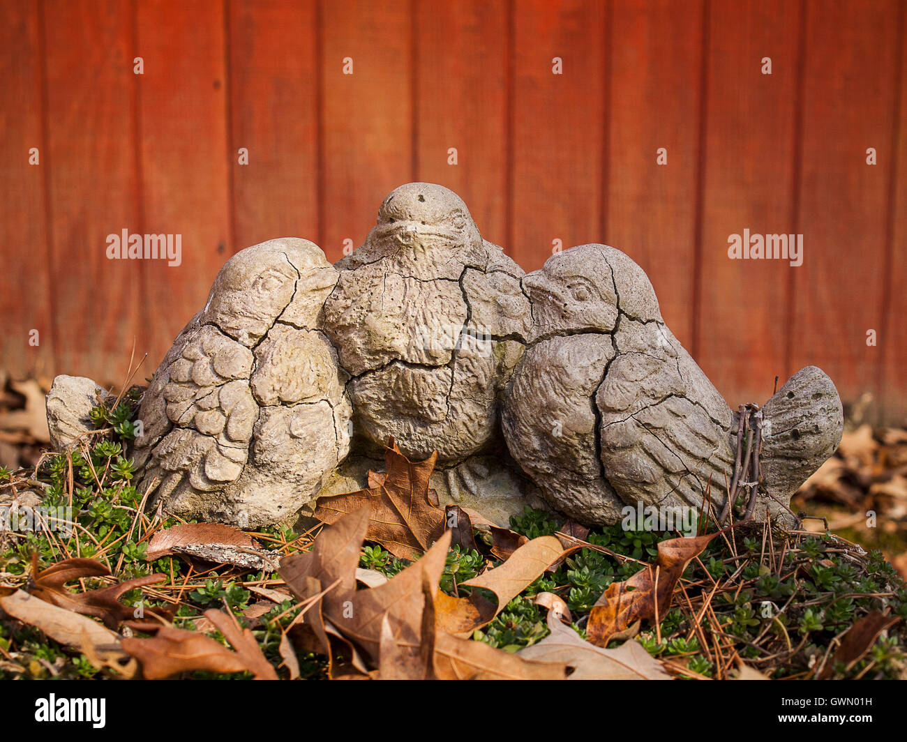 Concrete bird bath hi-res stock photography and images - Alamy