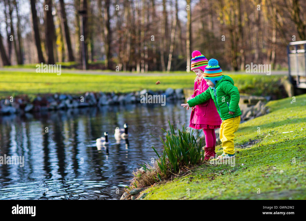 Little girl and boy feeding otter, ducks and geese in park river on ...