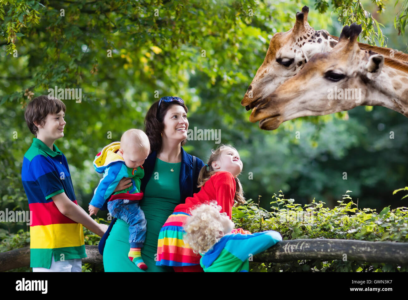 School kids at farm feeding animals hi-res stock photography and images ...