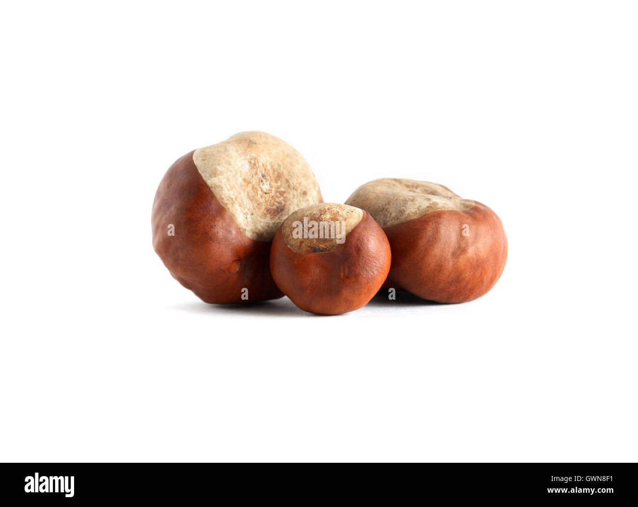 Chestnuts On White Stock Photo - Alamy