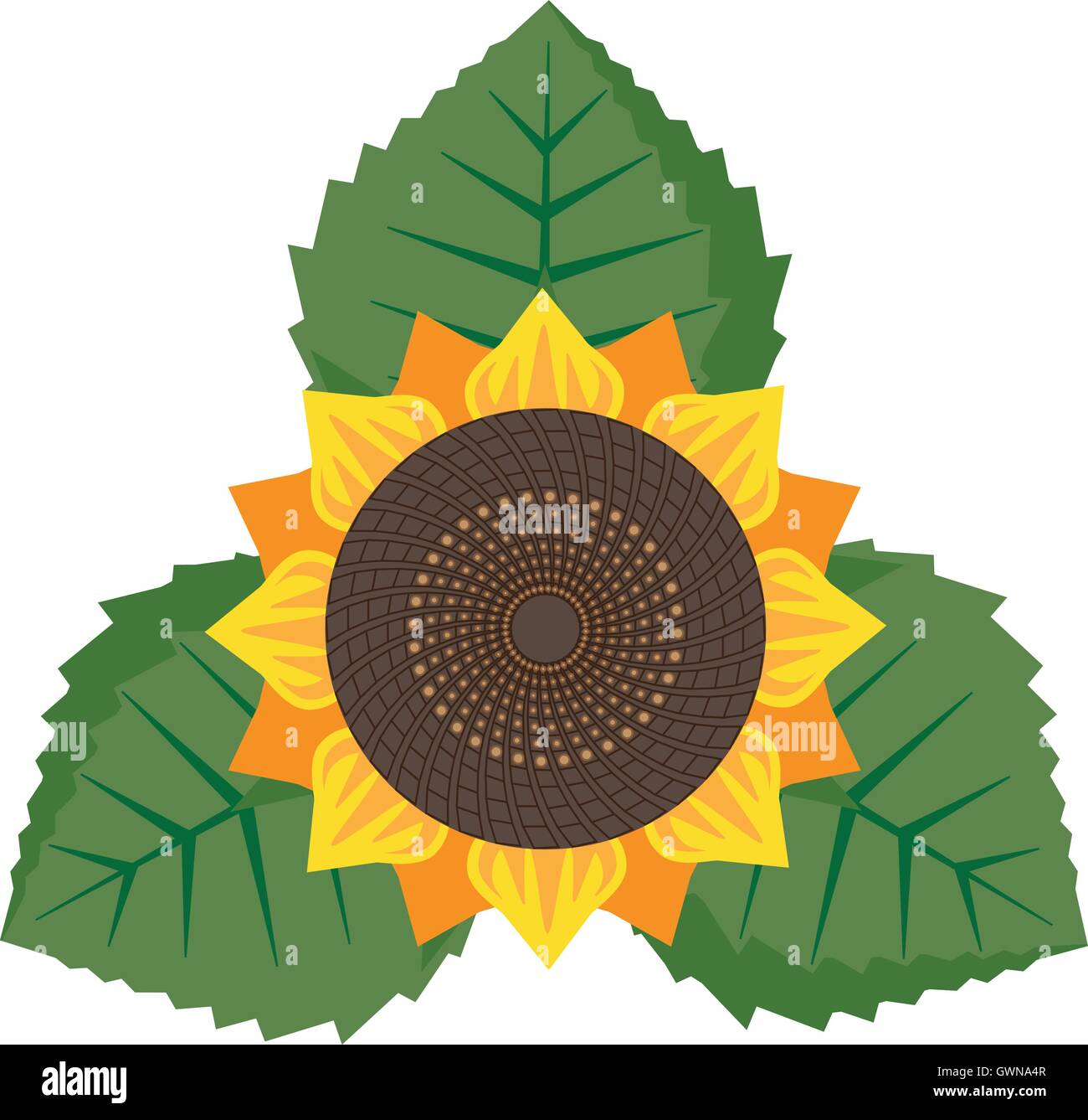 Orange flower green leaf Stock Vector Images - Alamy