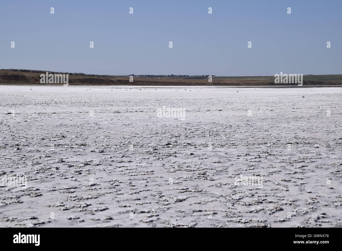 Landscape bottom of the dry lake. The surface of the salt lake Stock ...