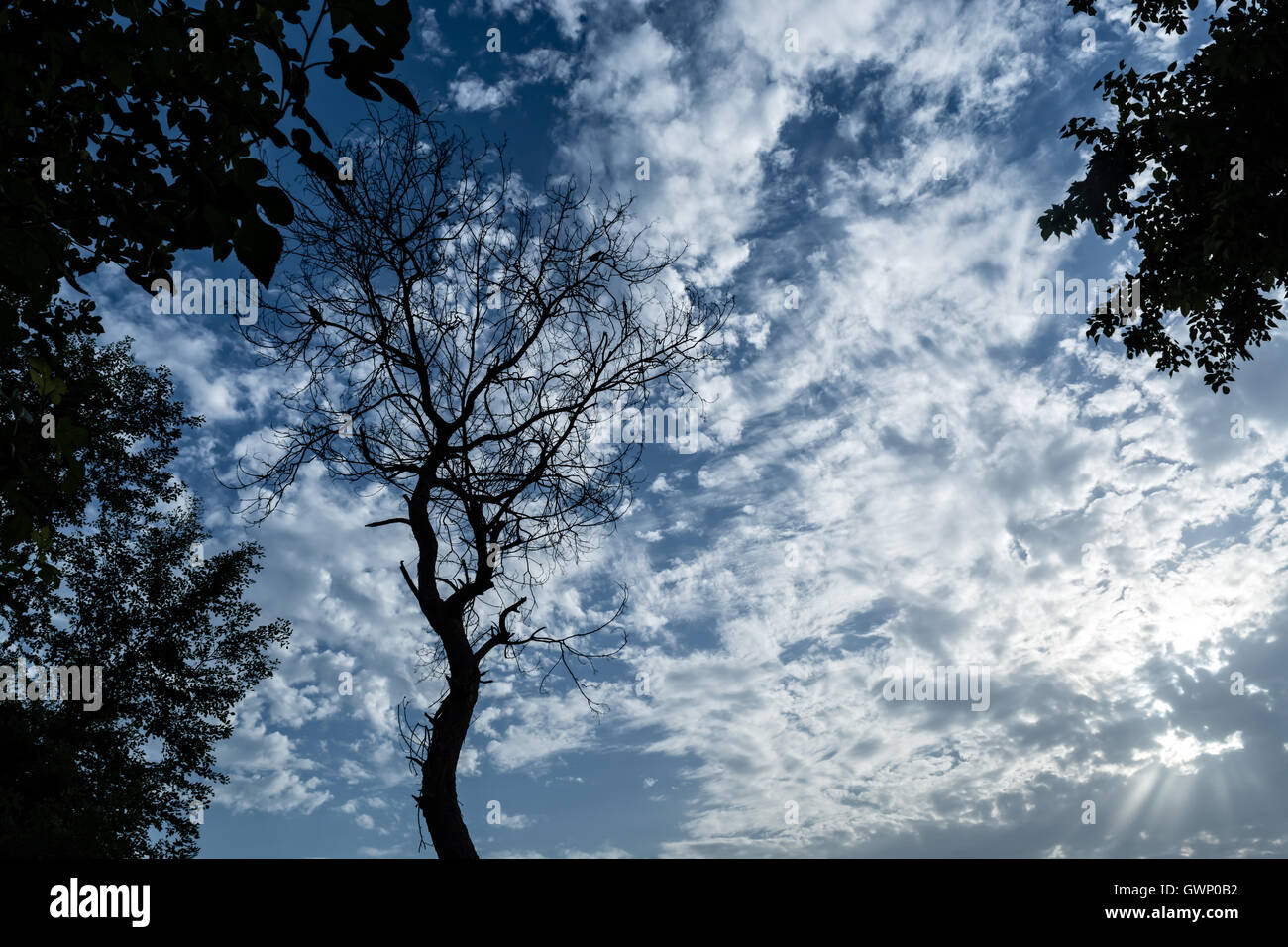 beautiful scene of sun beams coming out from clouds Stock Photo - Alamy