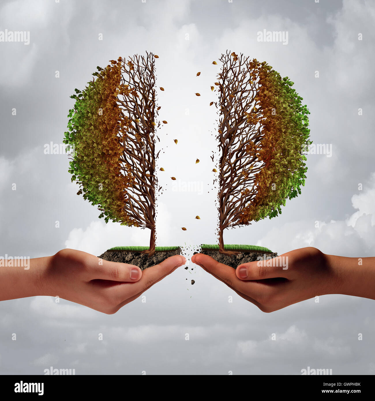 Broken and divided trouble concept as two diverse hands tearing apart a ...