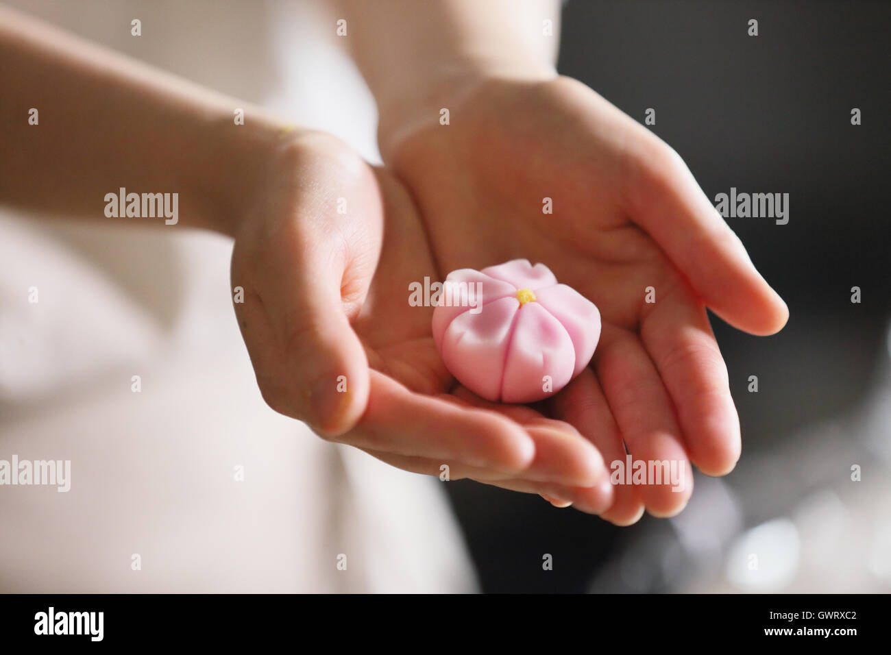 Pastry chef creating Japanese confectionery Stock Photo - Alamy