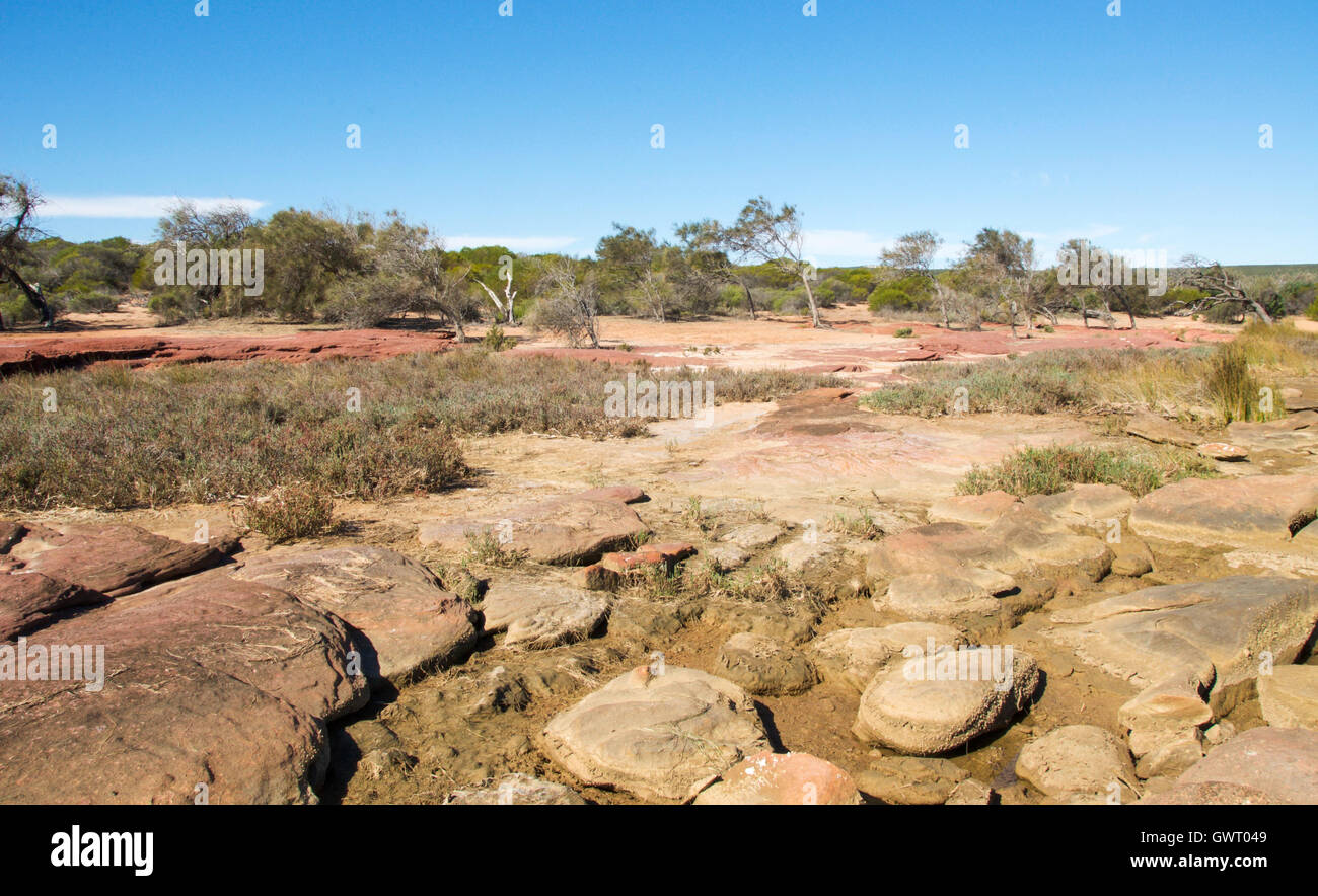 Native riverbank nature flora hi-res stock photography and images - Alamy