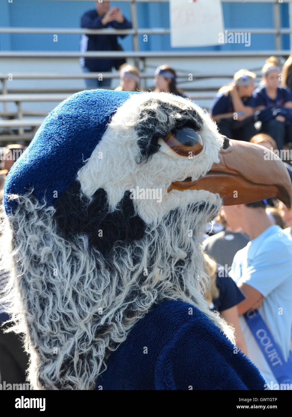 High school mascot hi-res stock photography and images - Alamy